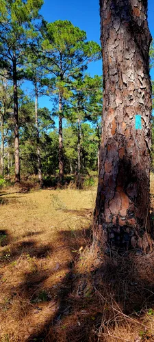 Best Hikes and Trails in Half Moon Wildlife Management Area | AllTrails