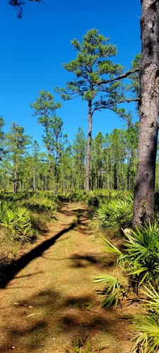Best Hikes and Trails in Half Moon Wildlife Management Area | AllTrails