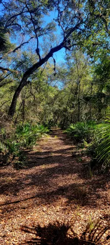 Best Hikes and Trails in Half Moon Wildlife Management Area | AllTrails