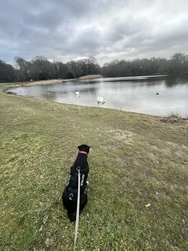 Best Hikes and Trails in Wanstead Park | AllTrails