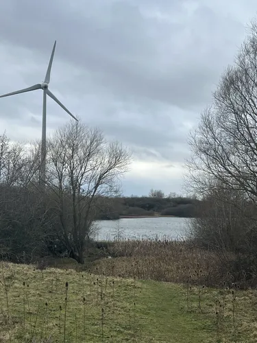 Best Hikes and Trails in Marston Vale Millennium Country Park | AllTrails