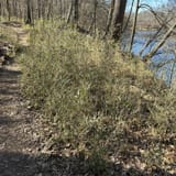 Settles Bridge Park Extended Loop Trail, Georgia - 1,572 Reviews, Map ...