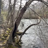 Blackstone Gorge Trail, Massachusetts - 567 Reviews, Map | AllTrails