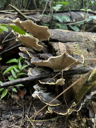 Best Hikes and Trails in Parque Julio E. Monagas | AllTrails