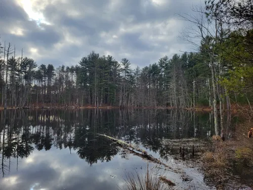 Best Easy Trails in Upton State Forest | AllTrails