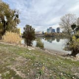 West Sacramento River Walk, California - 96 Reviews, Map | AllTrails