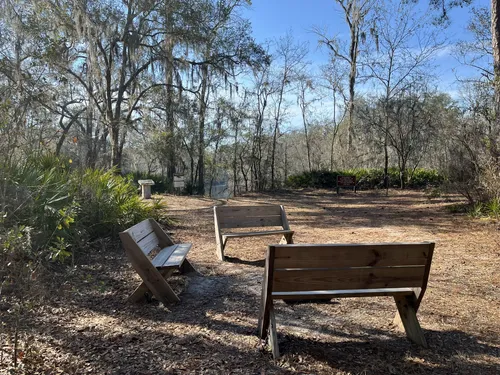 Best Hikes and Trails in Stephen Foster Folk Culture Center State Park ...