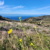 Ocean Overlook Loop, California - 942 Reviews, Map | AllTrails