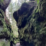 Talus Rocks Loop, Washington - 1,453 Reviews, Map | AllTrails