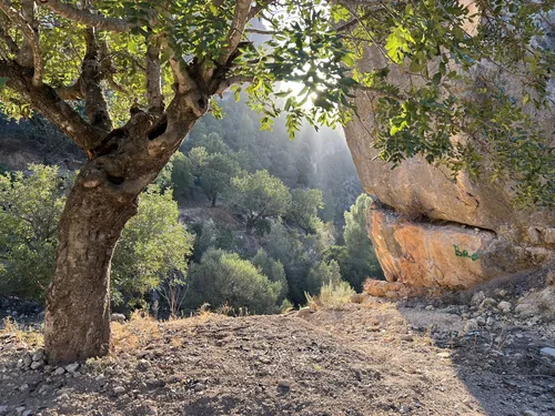 Best Historic Site Trails in Chera-Sot de Chera Nature Park | AllTrails