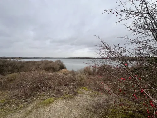 Best Hikes and Trails in Marston Vale Millennium Country Park | AllTrails