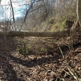 Conestoga Trail: Speedwell Forge Lake, Pennsylvania - 192 Reviews, Map ...