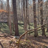 Settles Bridge Park Extended Loop Trail, Georgia - 1,572 Reviews, Map ...