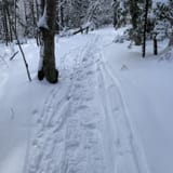 Mount Sunapee Summit Trail, New Hampshire - 795 Reviews, Map | AllTrails