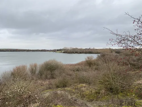 Best Hikes and Trails in Marston Vale Millennium Country Park | AllTrails