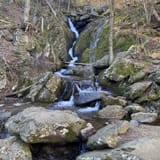 Rose River Trail, Virginia - 4,331 Reviews, Map | AllTrails