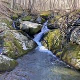 Rose River Trail, Virginia - 4,331 Reviews, Map | AllTrails