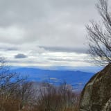 Sharp Top Trail, Virginia - 2,714 Reviews, Map | AllTrails