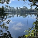 Graham Swamp Trail, Florida - 358 Reviews, Map | AllTrails