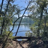 Graham Swamp Trail, Florida - 358 Reviews, Map | AllTrails