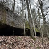 Angel Windows Trail, Kentucky - 1,201 Reviews, Map | AllTrails