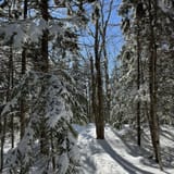 South Moat Mountain Trail, New Hampshire - 1,588 Reviews, Map | AllTrails