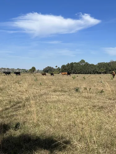 Best Hikes and Trails in Beck Ranch Park | AllTrails