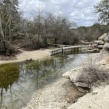 Jacob’s Well Trail, Texas - 406 Reviews, Map | AllTrails