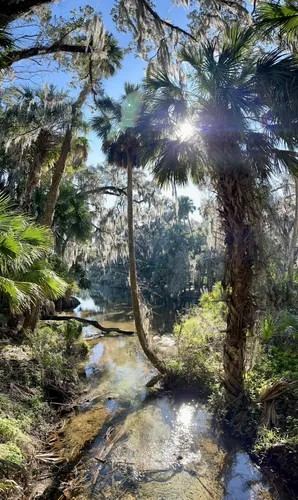 Best Hikes and Trails in Gemini Springs Park | AllTrails