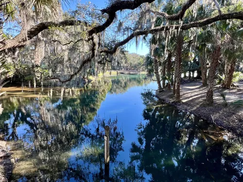 Best Hikes and Trails in Gemini Springs Park | AllTrails