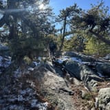 Millbrook Ridge Trail, New York - 263 Reviews, Map | AllTrails