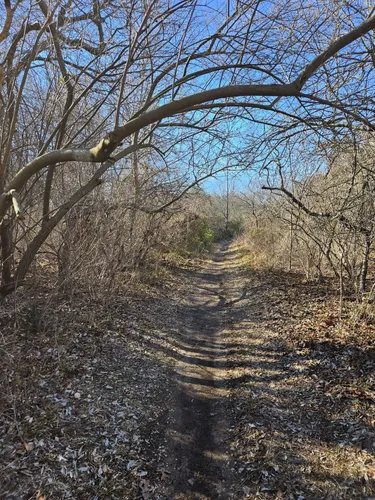 Best Forest Trails in Bethpage State Park | AllTrails