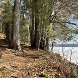 Raven Red Trail Loop, Wisconsin - 199 Reviews, Map | AllTrails