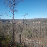 Sky Bridge Trail, Kentucky - 2,266 Reviews, Map | AllTrails