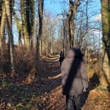 Allison Park Loop, New Jersey - 954 Reviews, Map | AllTrails