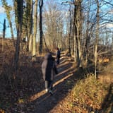 Allison Park Loop, New Jersey - 954 Reviews, Map | AllTrails