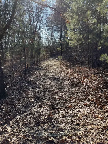 Best Hikes and Trails in Merrick State Park | AllTrails