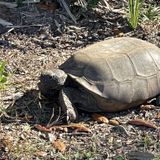 Doris Leeper Trail, Florida - 582 Reviews, Map | AllTrails