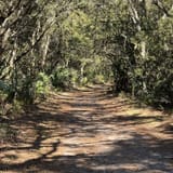 Doris Leeper Trail, Florida - 582 Reviews, Map | AllTrails