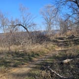 Walnut Grove Trail, Texas - 337 Reviews, Map | AllTrails