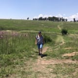 Modderfontein Dam Trail, Gauteng, South Africa - 372 Reviews, Map ...