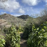 Two Trees Trail, California - 1,309 Reviews, Map | AllTrails