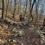 Pulpit Rock and Pinnacle Loop, Pennsylvania - 3,419 Reviews, Map ...