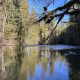 Englishman River Falls Trail, British Columbia, Canada - 1,407 Reviews ...
