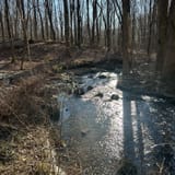 Bull Hill Full Loop, New York - 5,307 Reviews, Map | AllTrails