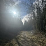 Alger Alps, Washington - 511 Reviews, Map | AllTrails