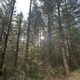 Alger Alps, Washington - 511 Reviews, Map | AllTrails