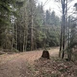 Alger Alps, Washington - 511 Reviews, Map | AllTrails