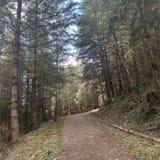 Alger Alps, Washington - 511 Reviews, Map | AllTrails