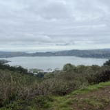 Gerbode Valley Loop, California - 529 Reviews, Map | AllTrails